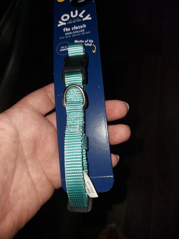 YOULY Adjustable Dog Collar, Turquoise, Medium | Petco