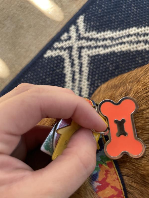 Quick-Tag Epoxy Bone Personalized Engraved Pet ID Tag, Neon Pink, Small ...