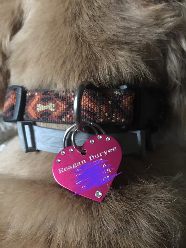 Quick-Tag Heart Personalized Engraved Pet ID Tag, Brushed Chrome, Small ...
