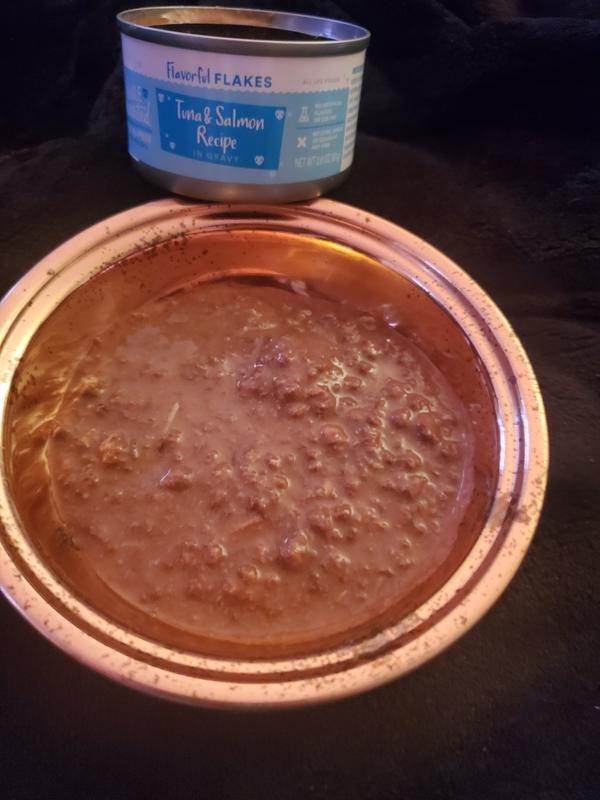 WholeHearted Grain Free Best Sellers Flakes Wet Cat Food Variety Pack ...