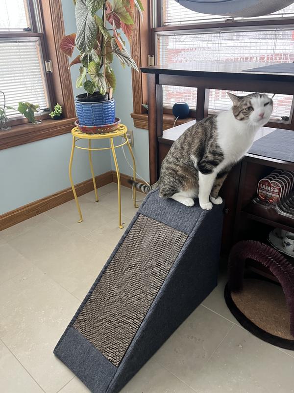 EveryYay Rise & Climb Ramp with Refillable Double Cat Scratcher, 16.5 ...