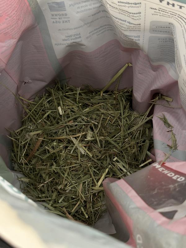 Oxbow Western Timothy Hay 50 lbs for Small Pets & Herbivores