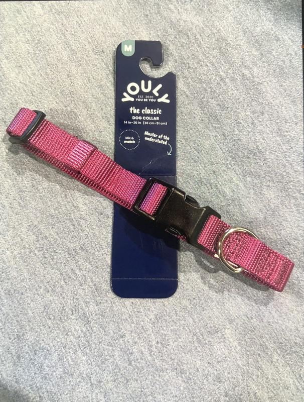 YOULY Adjustable Dog Collar, Blue, Medium | Petco