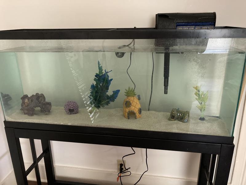 Aqueon QuietFlow LED PRO 75 Aquarium Power Filter | Petco