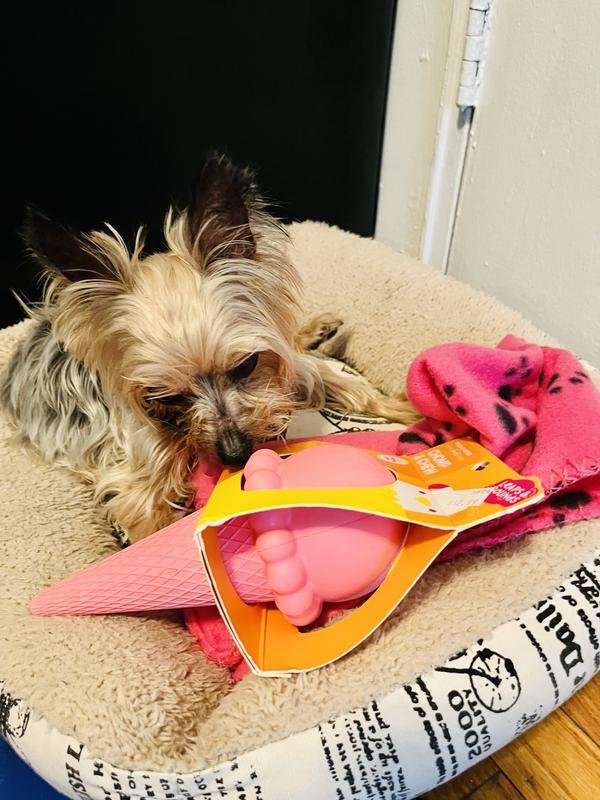 Leaps & Bounds Pink Rubber Ice Cream Cone Dog Toy