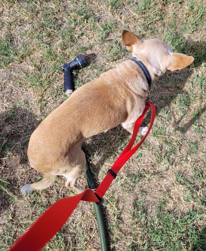 Ultrahund Adjustable Dog Lead, Yellow, 4-6 ft. Long, 5/8 in. Wide | Petco