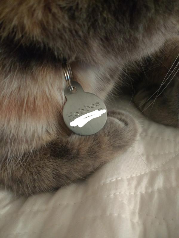 Quick-Tag Circle Personalized Engraved Pet ID Tag, Gold, Large | Petco