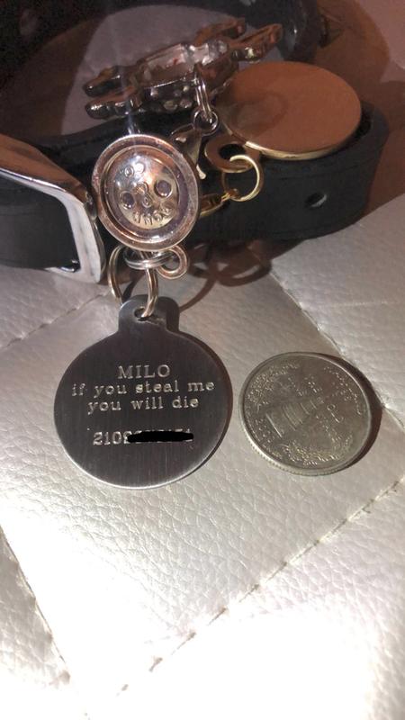 Quick-Tag Circle Personalized Engraved Pet ID Tag, Gold, Large | Petco