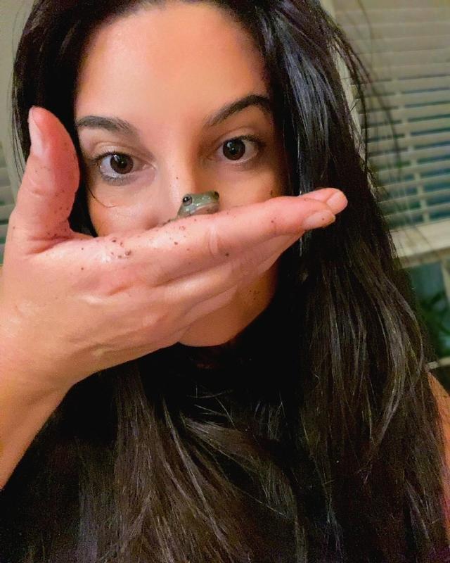 Petco Green Tree Frog - Lively & Eco-Friendly Pet