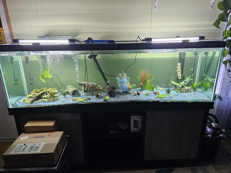 Fluval FX4 Canister Filter | Petco