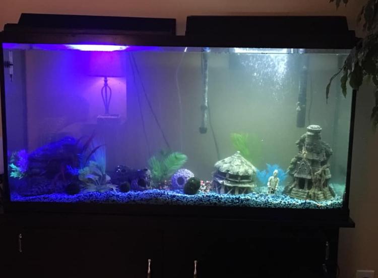 Aqueon QuietFlow LED PRO 75 Aquarium Power Filter | Petco