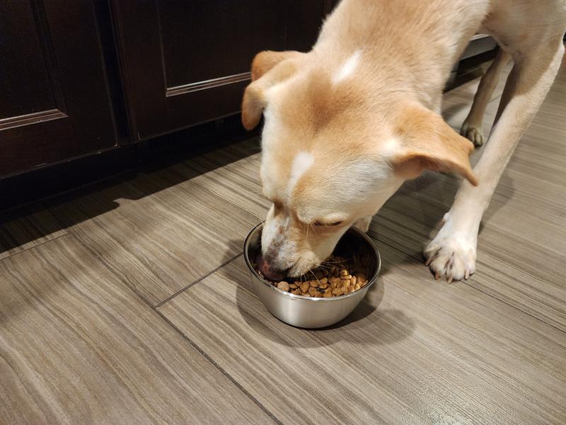 WholeHearted Freeze-Dried Hip & Joint Support Dog Food Toppers, 5.5 oz ...