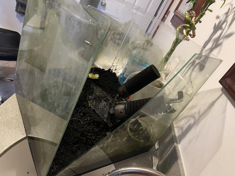 Aqueon 1 Gallon Frameless Cube Aquarium & Glass Top