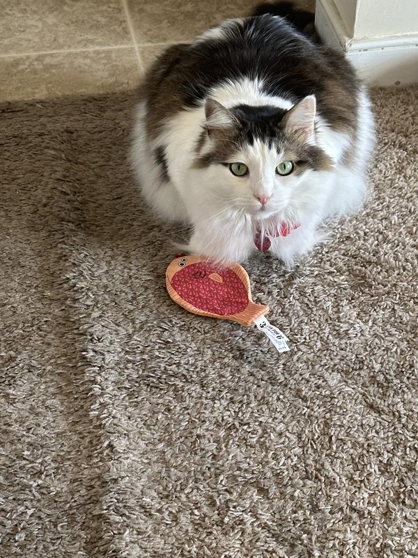 Leaps & Bounds Flatty Fish Cat Toy, X-Small | Petco