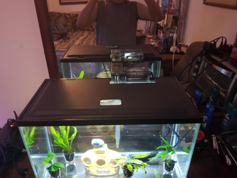 Fluval AquaClear 30 Aquarium Power Filter | Petco