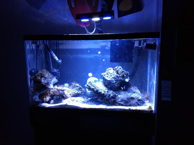 Imagitarium Nitrate Filter Media, 10" x 18" | Petco