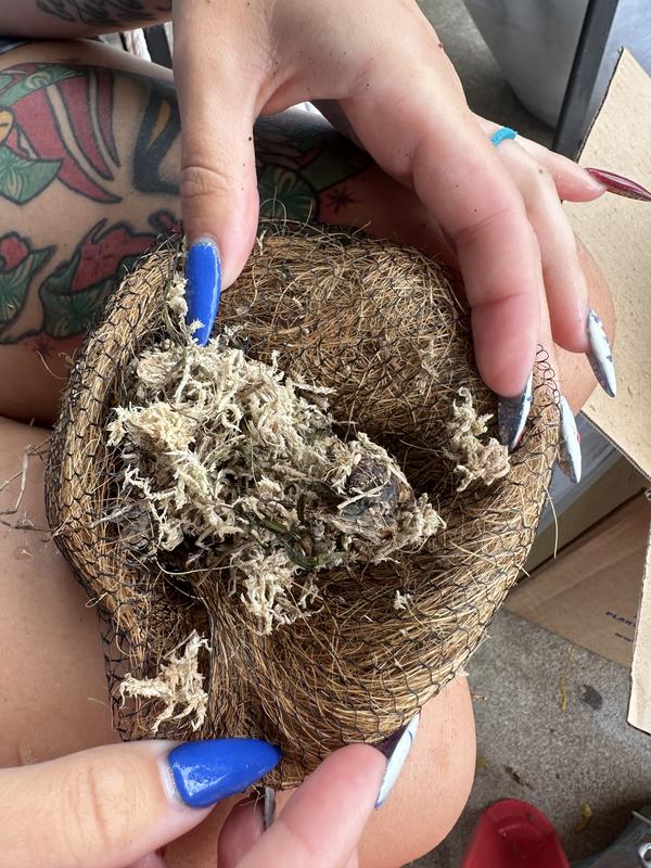 Pond Bulb Kit For Sale | Petco