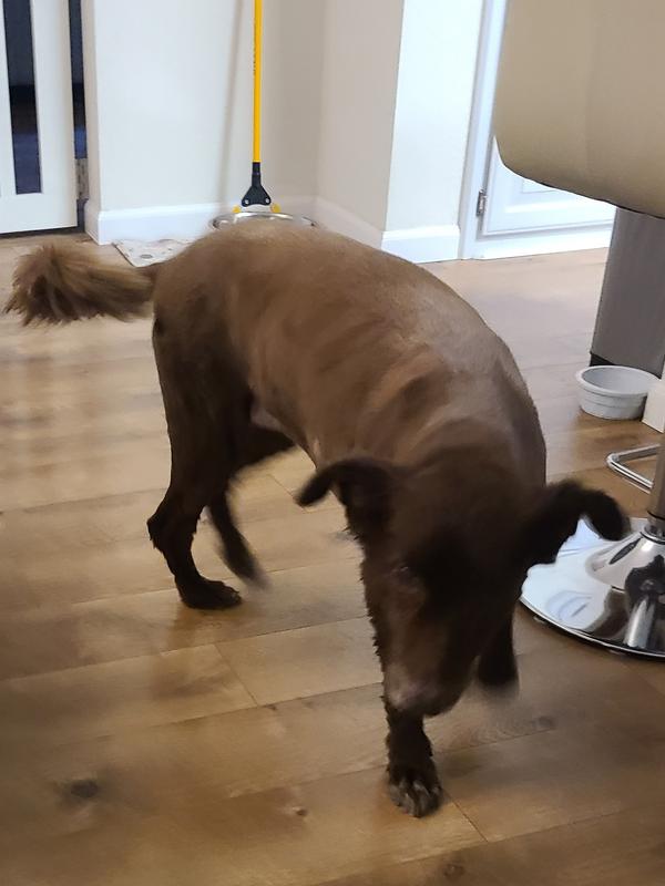 Wahl Deluxe U-Clip Dog Grooming Kit & Accessories