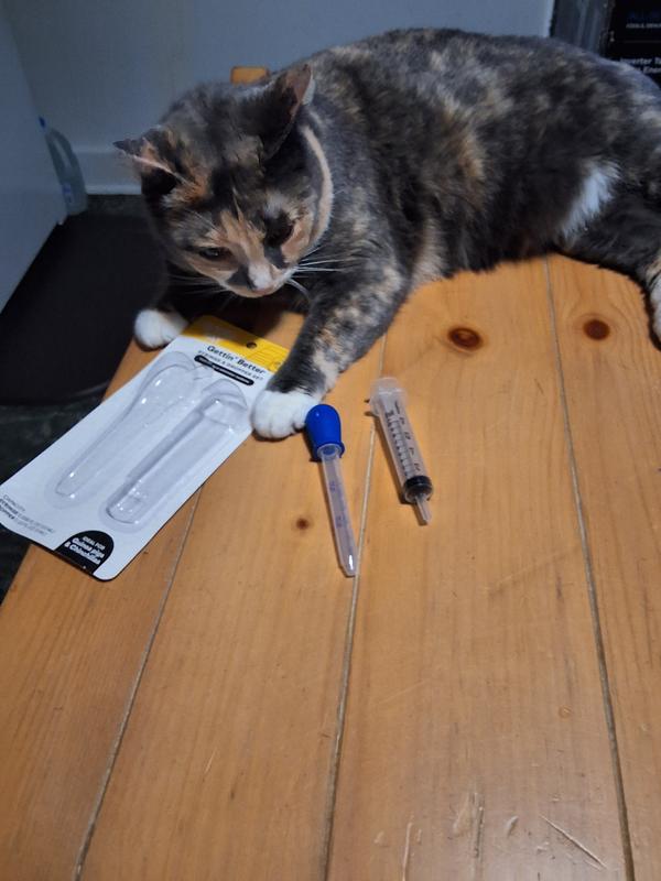 EveryYay Small Animal Syringe & Dropper Set, 13ml