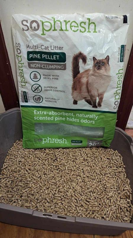 So Phresh Pine Pellet Cat Litter, 20 lbs – Odor Control & Eco-Friendly