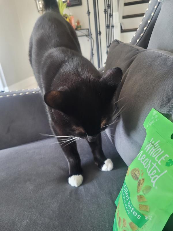 WHOLEHEARTED CHICKEN & CATNIP SOFT-FILLED BITES CAT TREATS, 3 OZ. | PETCO