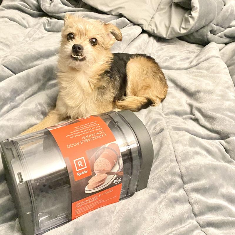 Reddy Black Expandable Food Container for Dogs, Large | Petco