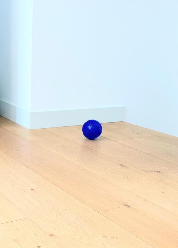 Leaps & Bounds Spiny Ball Small Dog Chew & Play Toy