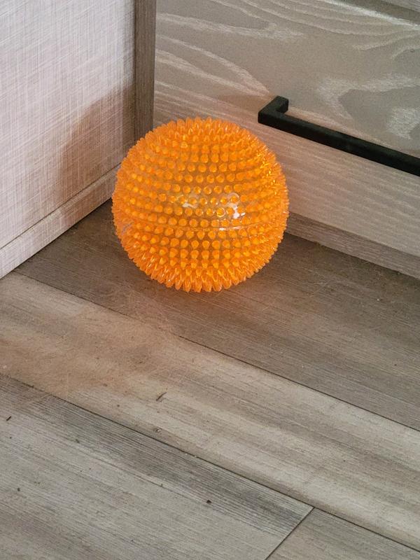 Leaps & Bounds Spiny Ball Assorted Dog Chew Toy, Small | Petco