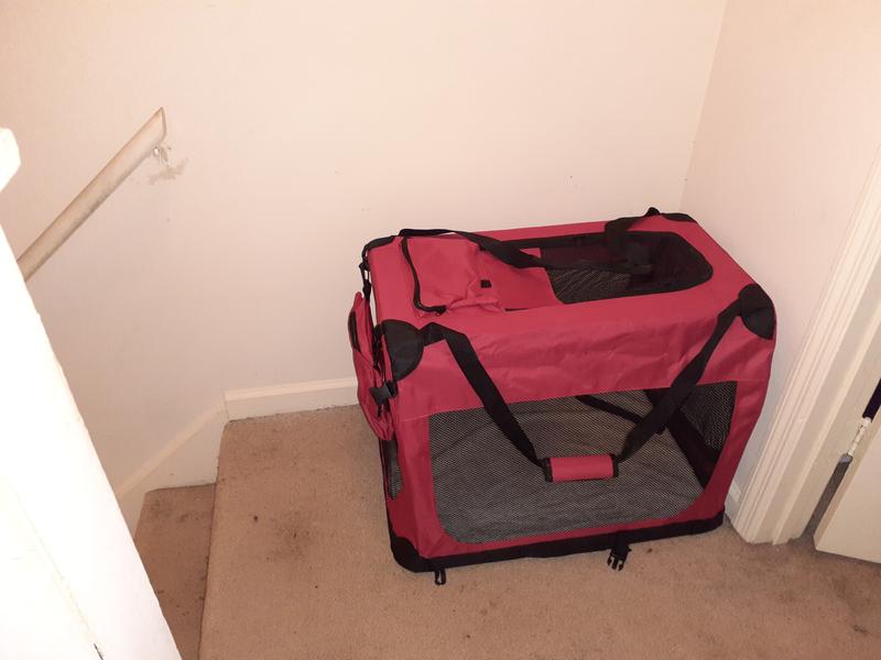 Go Pet Club Portable Soft Red Dog Crate, 48" L X 32" W X 39" H | Petco