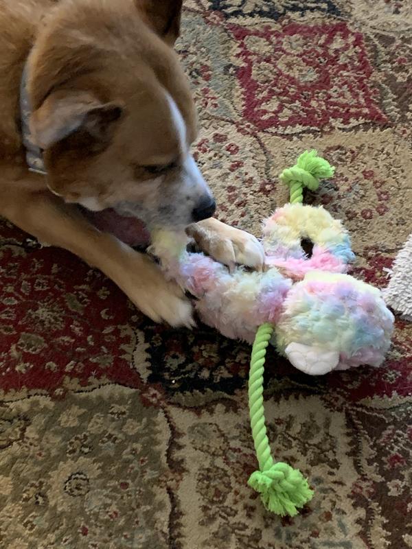 Leaps & Bounds Tough Monkey with Rope Tug Dog Toy | Petco