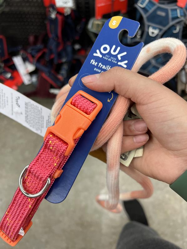 YOULY The Adventurer Webbed Nylon Dog Collar, Blue/Red, Medium | Petco