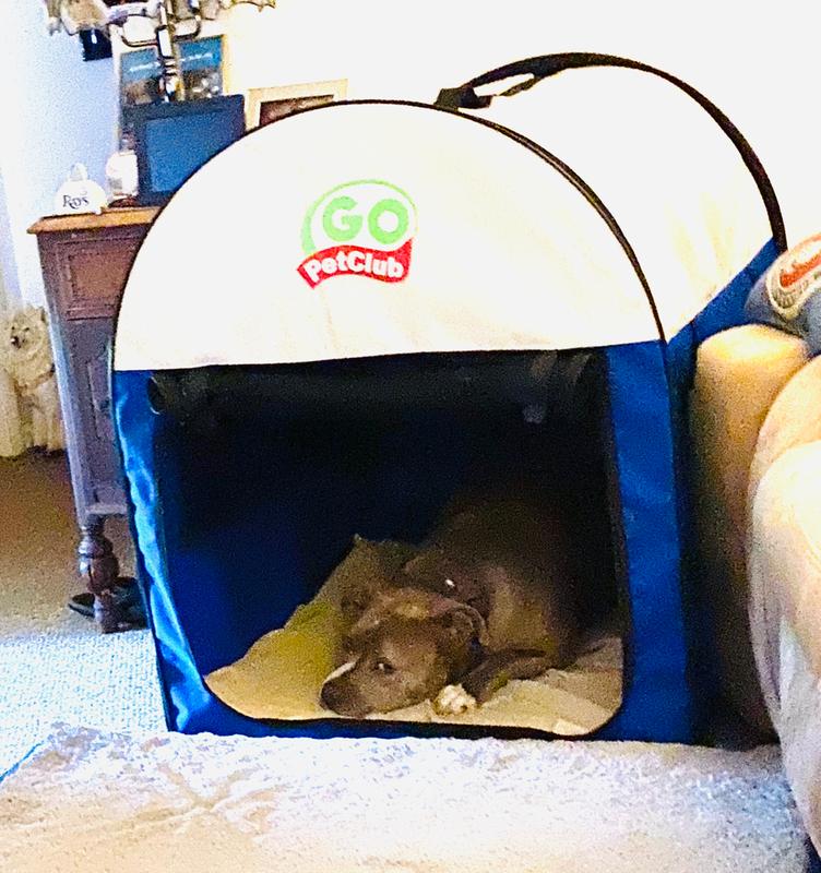 Go Pet Club Folding Soft Blue Dog Crate, 38" L X 28" W X 34" H | Petco