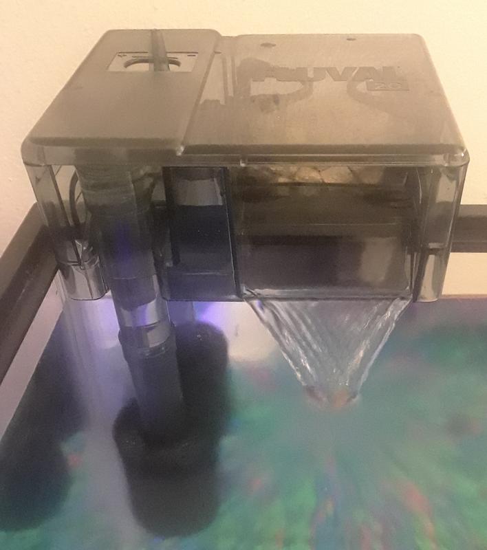 Fluval Edge Pre-Filter Sponge, Pack of 1 | Petco