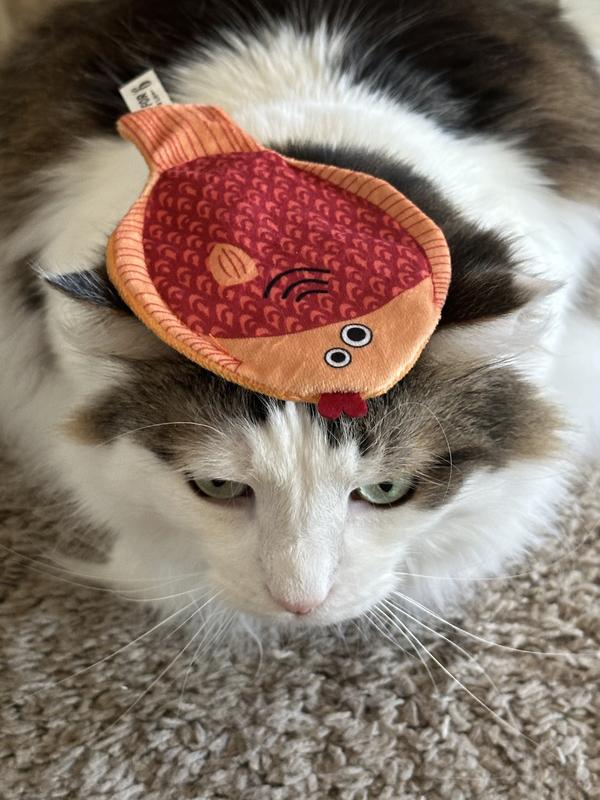 Leaps & Bounds Flatty Fish Cat Toy, X-Small | Petco