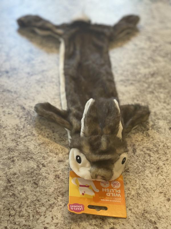 Leaps & Bounds Wildlife Rabbit Dog Toy, Small | Petco
