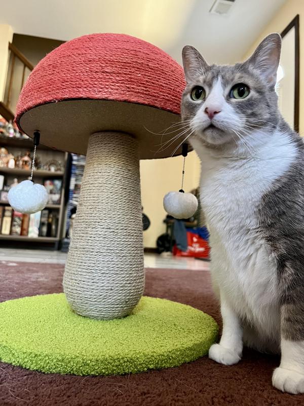 Cat Scratching Post Mushroom Tall Cat Scratching Post