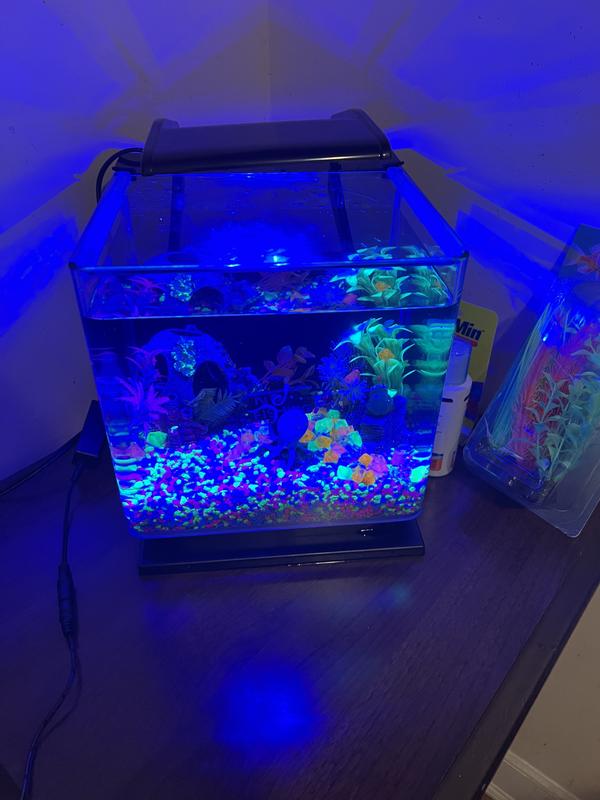 GloFish Multi-Color Fluorescent Aquarium Gravel, 5 lbs. | Petco