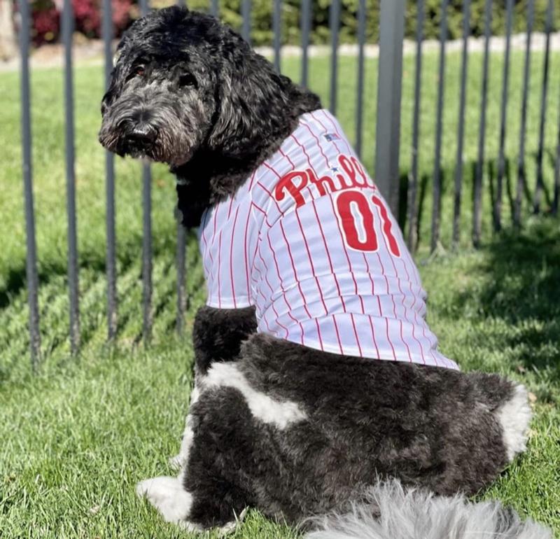 Pets First MLB National League East Jersey for Dogs, Large ...