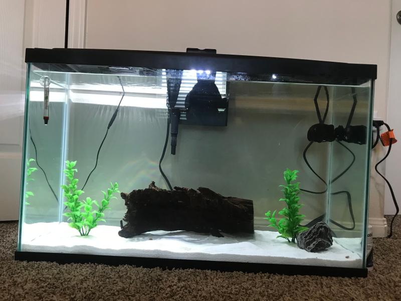 Fluval AquaClear 30 Aquarium Power Filter | Petco