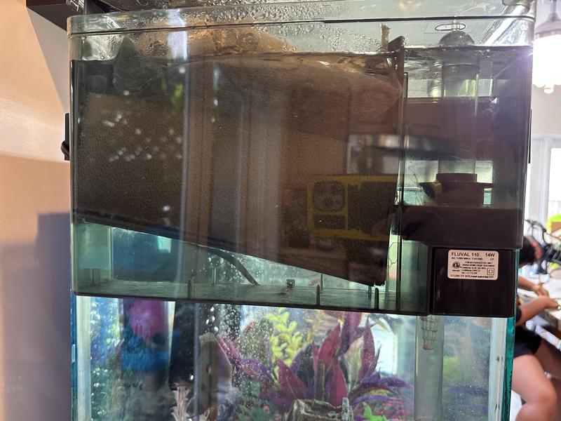 Fluval AquaClear 110/500 Aquarium Power Filter | Petco