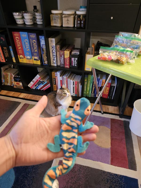 Leaps & Bounds Flatty Lizard Cat Toy, X-Small | Petco