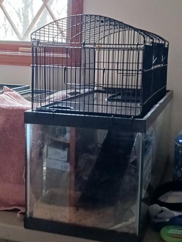 EveryYay Small Animal Tank Topper 20 Gallon | Petco