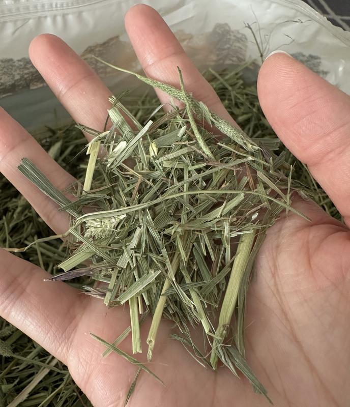 Oxbow Western Timothy Hay 50 lbs for Small Pets & Herbivores