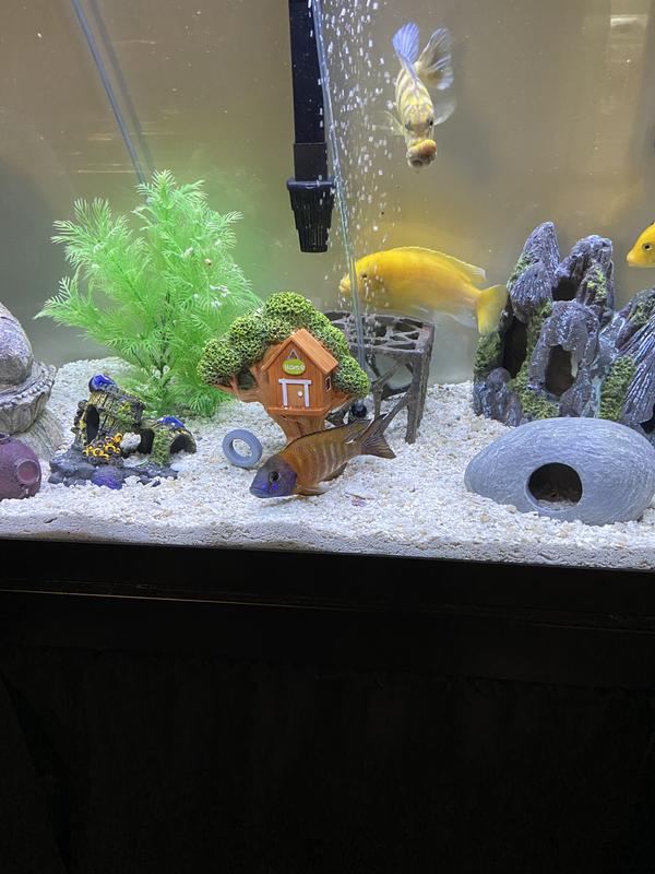 Imagitarium Resin Treehouse Decor, Small | Petco