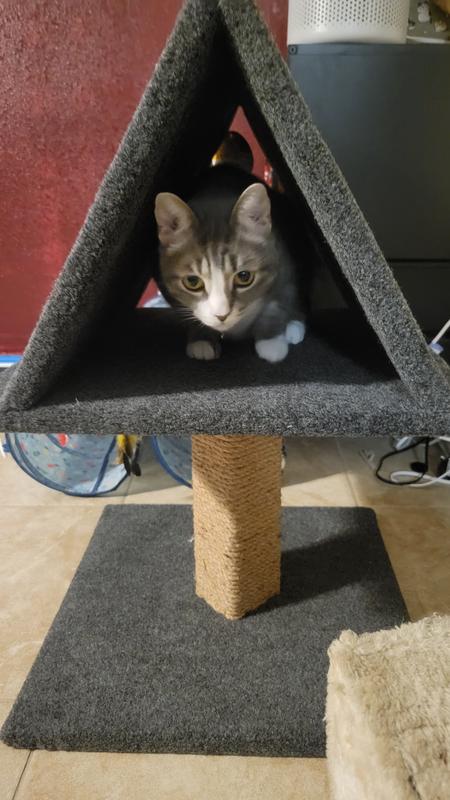 EveryYay Chalet Cat Tree, 29.5" H | Petco