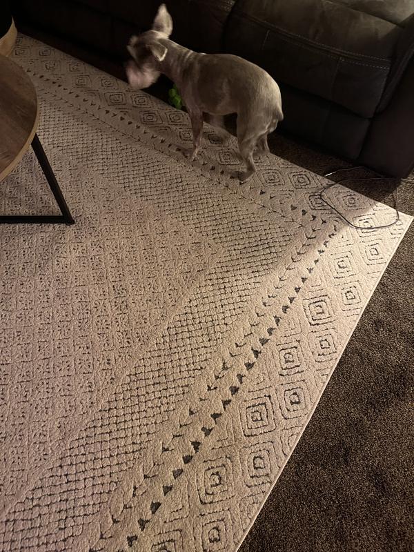 Leaps & Bounds Flocked Ball with Nubs Dog Toy, Small | Petco