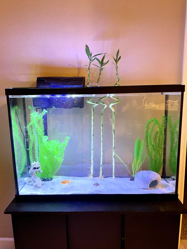 Aqueon QuietFlow LED PRO 75 Aquarium Power Filter | Petco