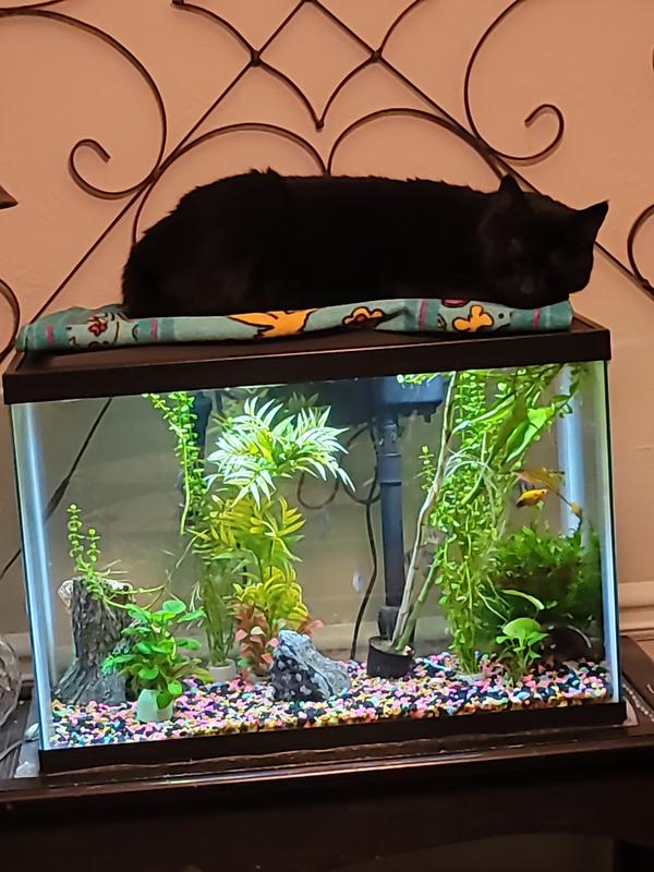 Marineland 175 Penguin PRO Power Filter, Multi-Stage Aquarium ...