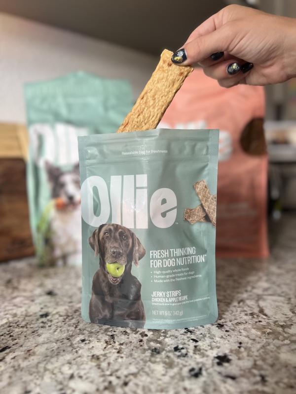 Ollie Chicken & Apple Jerky Strips Dog Treats, 5 oz. | Petco