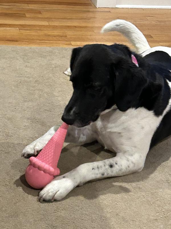 Leaps & Bounds Rubber Ice Cream Cone Dog Toy, Small | Petco